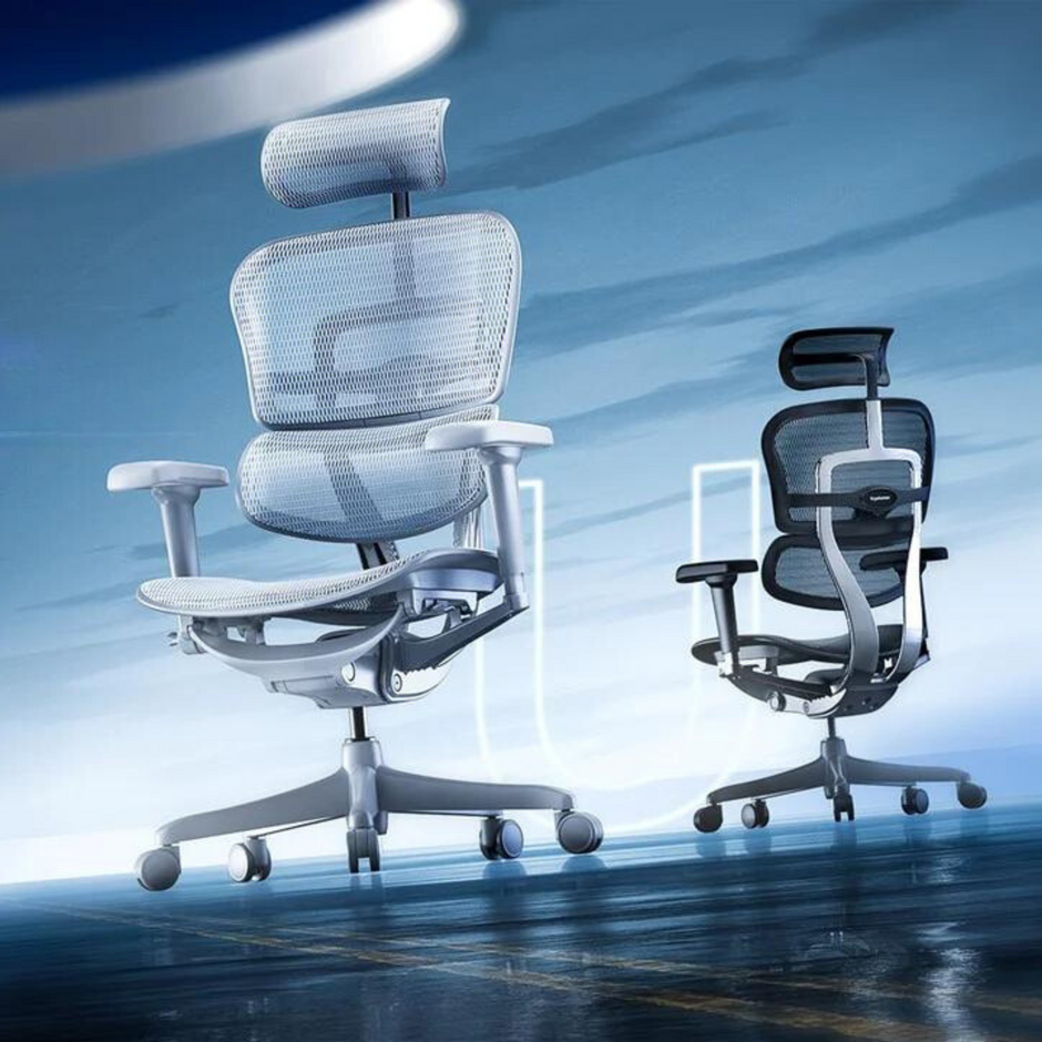 IFCO 香港人體工學專家 – IFCO - Ergonomic Expert